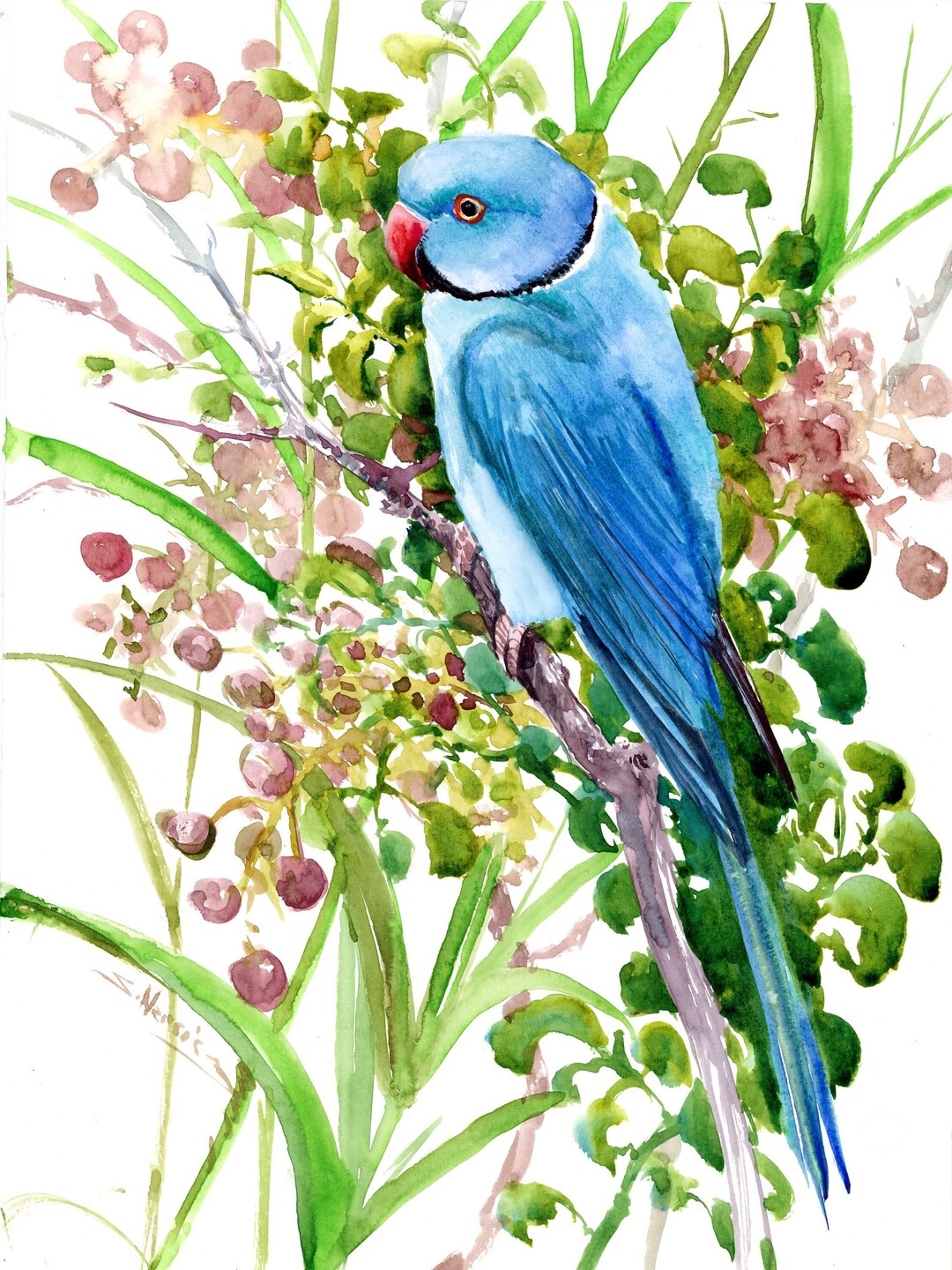 Indian Ringneck Parakeet Art, an Original Painting by Suren - Etsy