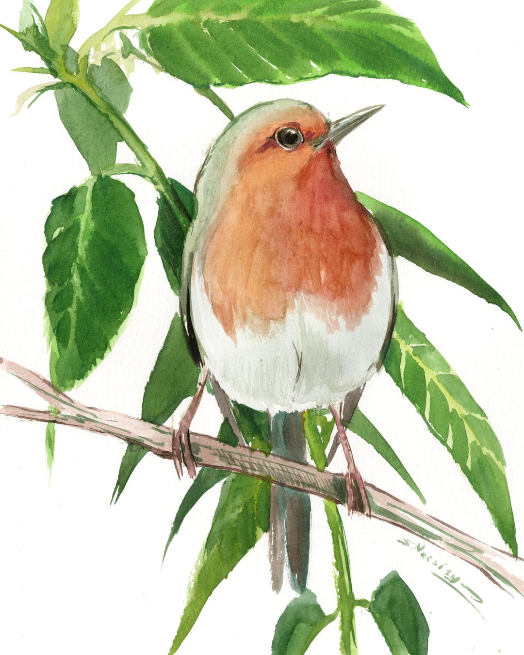 Robin Bird Watercolor Artwork, Original Painting, Cute Little Bird ...