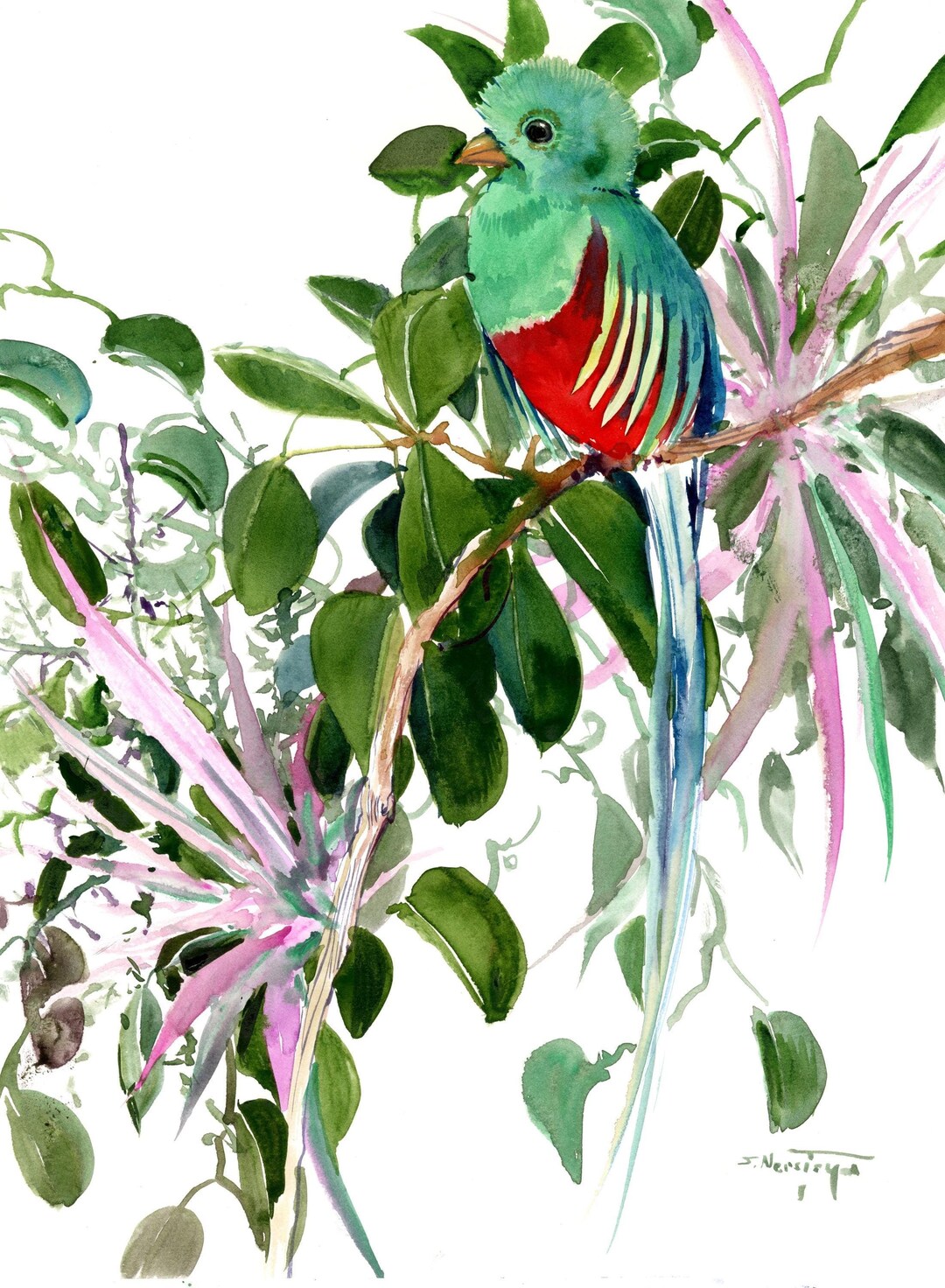 Quetzal in the Jungle, Original Watercolor Painting - Etsy