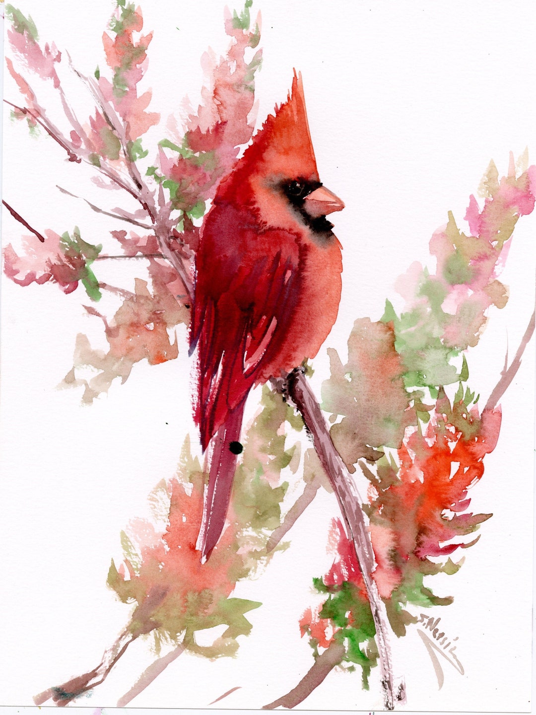 Cardinal Bird Watercolor Artwork, Original, Hand-painted Professional ...