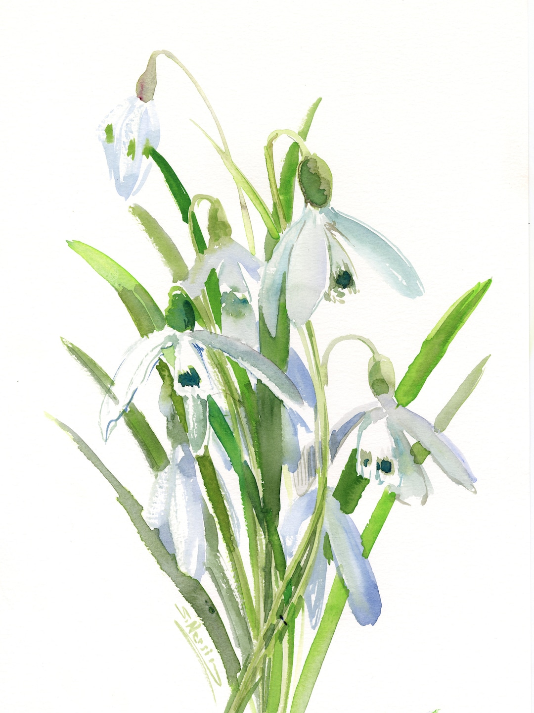 Snowdrop Flowers Watercolor Artwork, Original, Hand-painted ...