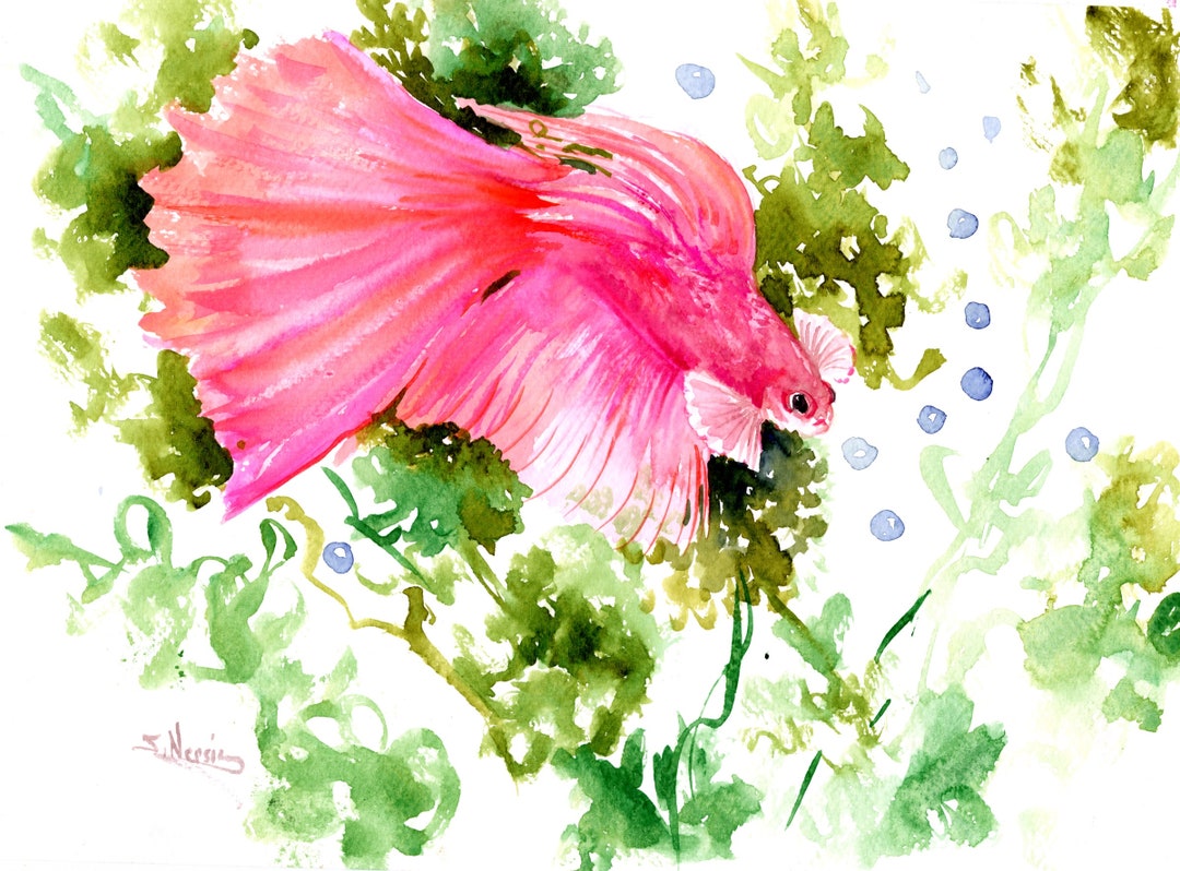 Pink Betta Fish Artwork, Bright Colored, Original Watercolor Painting ...