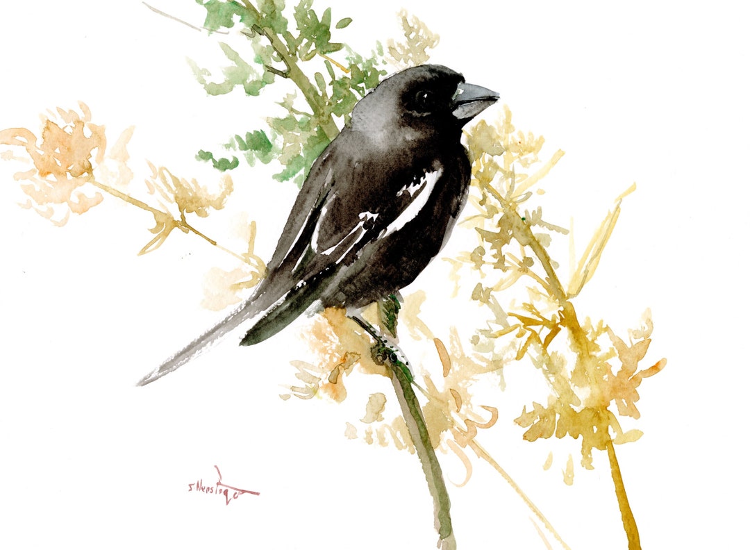 Lark Bunting Bird Artwork Original One of a Kind Watercolor Painting - Etsy