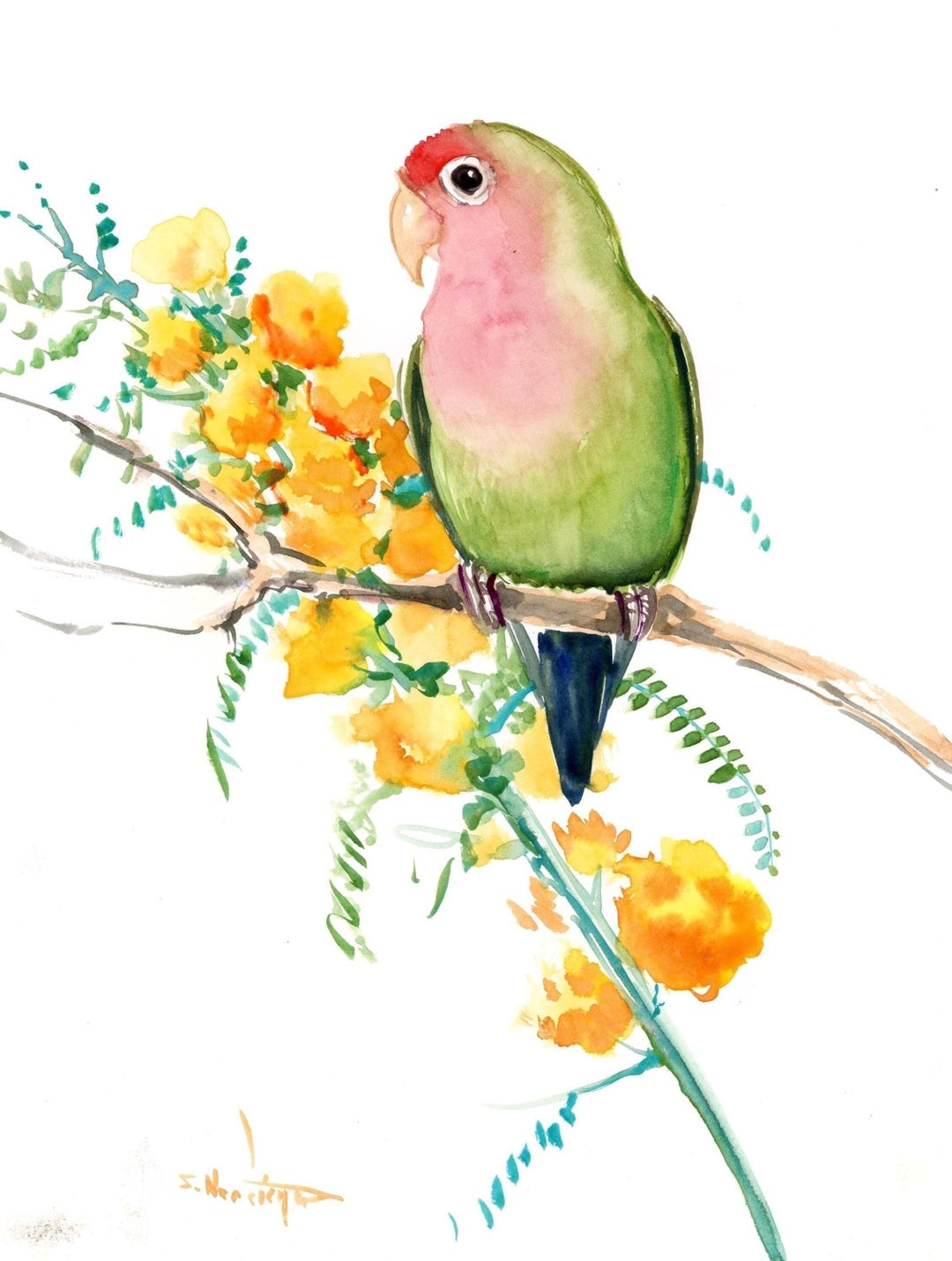 Lovebird Artwork, an Original Watercolor Painting by Artist Suren - Etsy