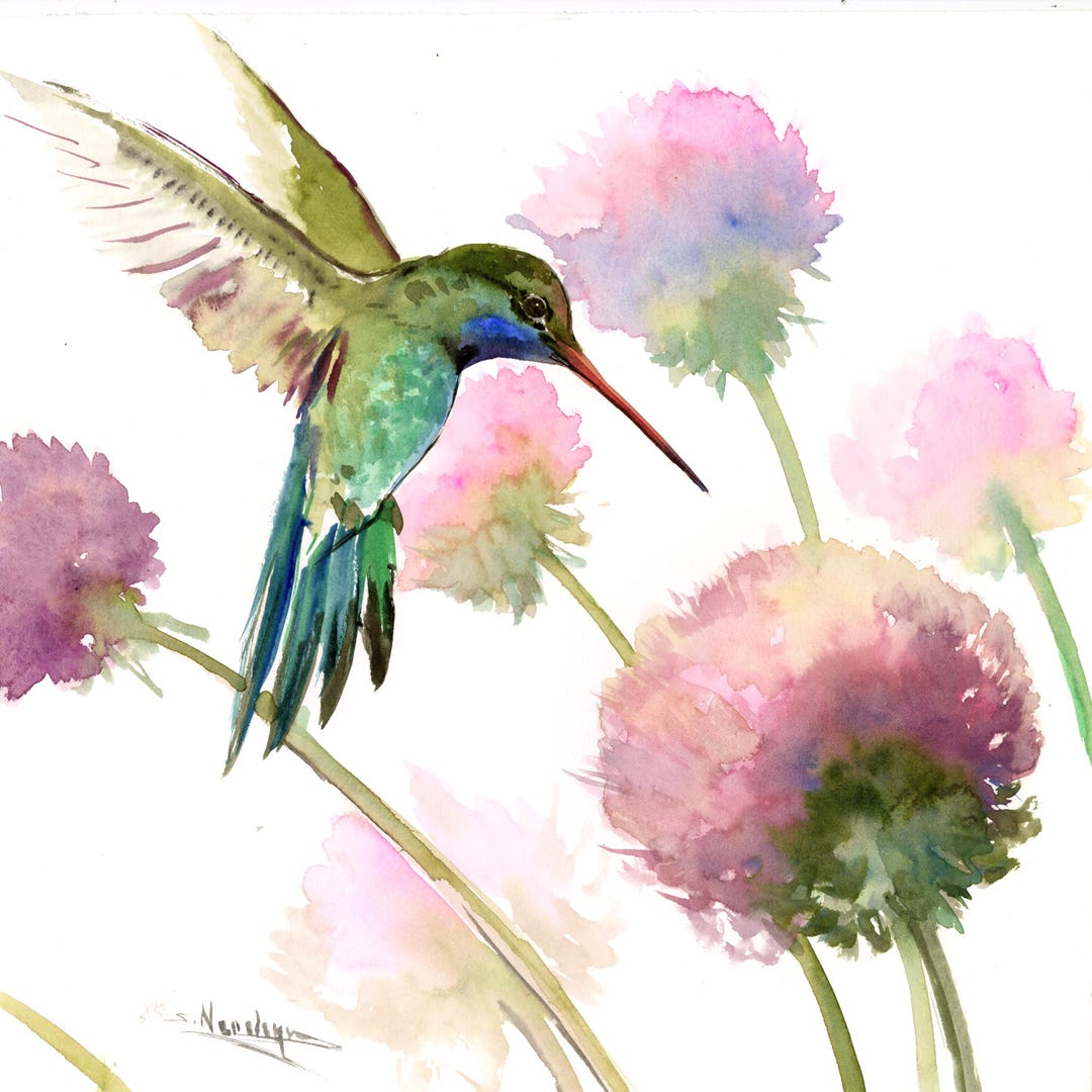 Hummingbird and Flowers, Original Watercolor Painting - Etsy