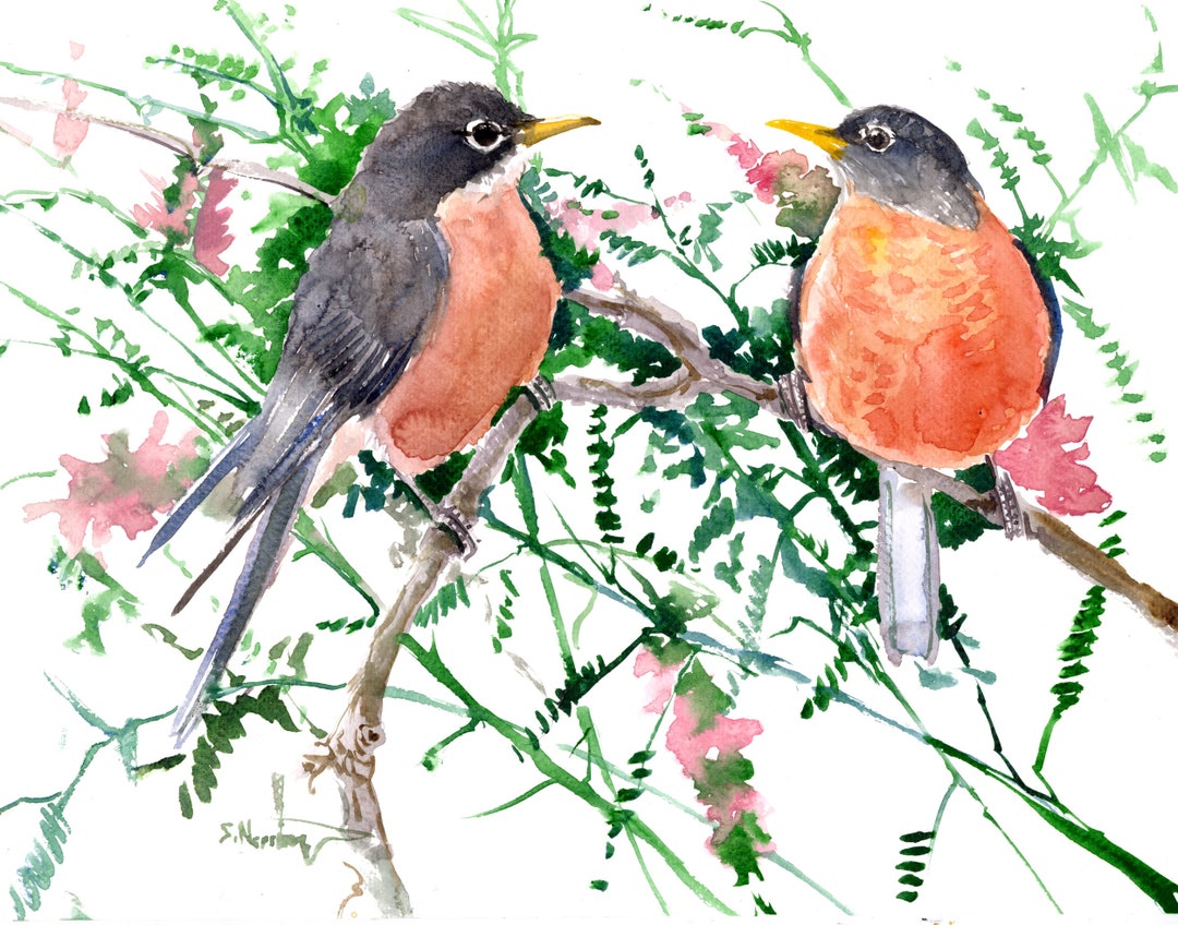 American Robins Bird, an Original Painting by Suren - Etsy