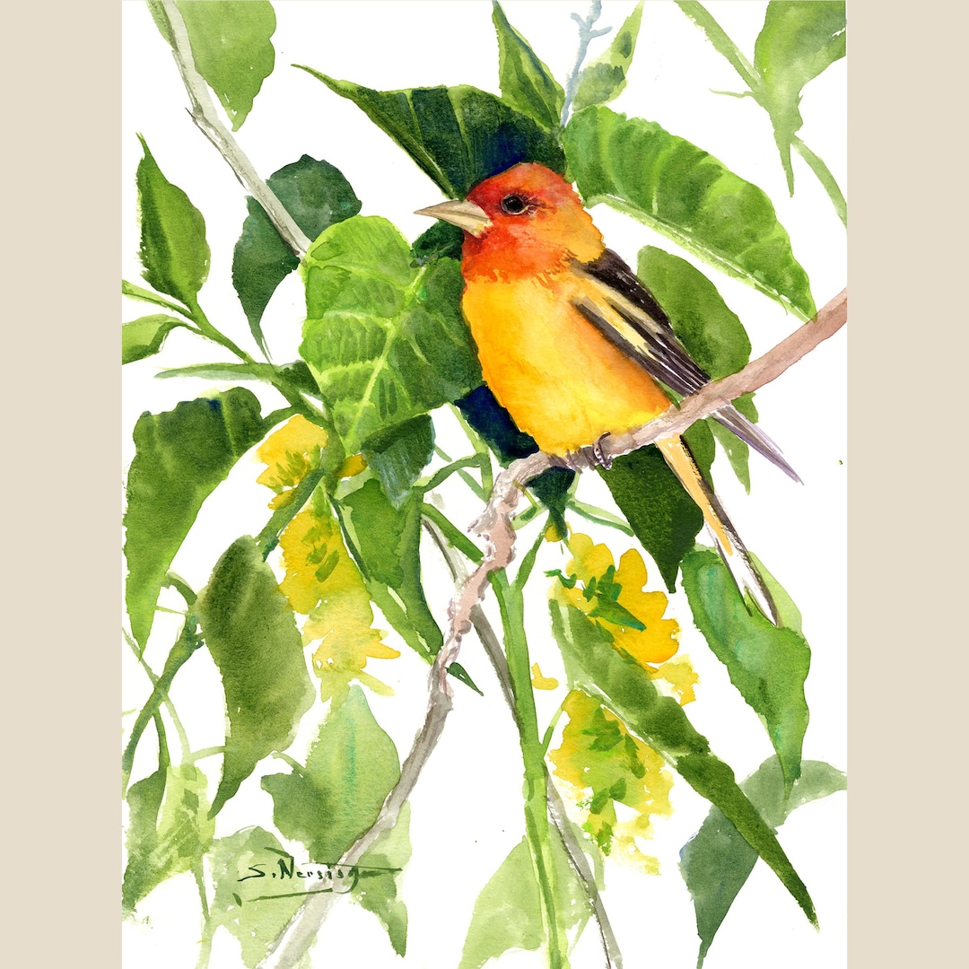 Western Tanager, an Original Watercolor Painting by Artist Suren - Etsy