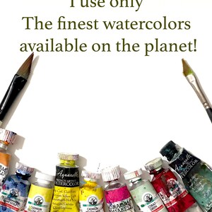 Java Sparrow Bird Watercolor Artwork, Original Painting - Etsy