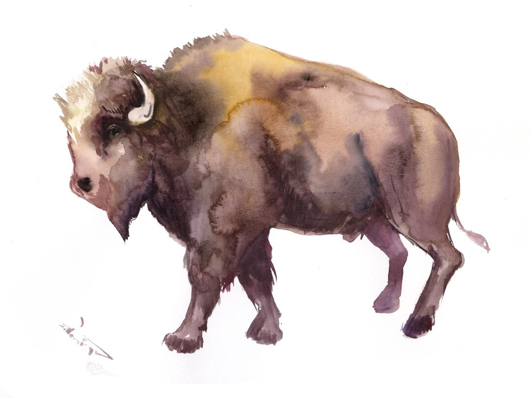 Aquarelle animalière de bison, art mural de taureau, peinture peinte à ...