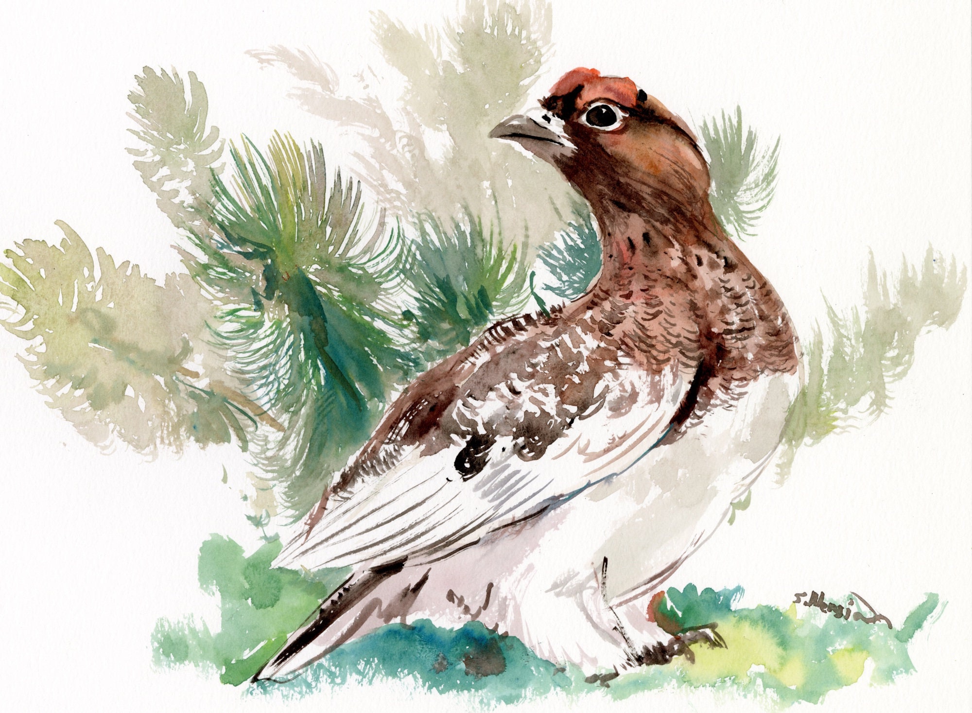 Alaska State Bird