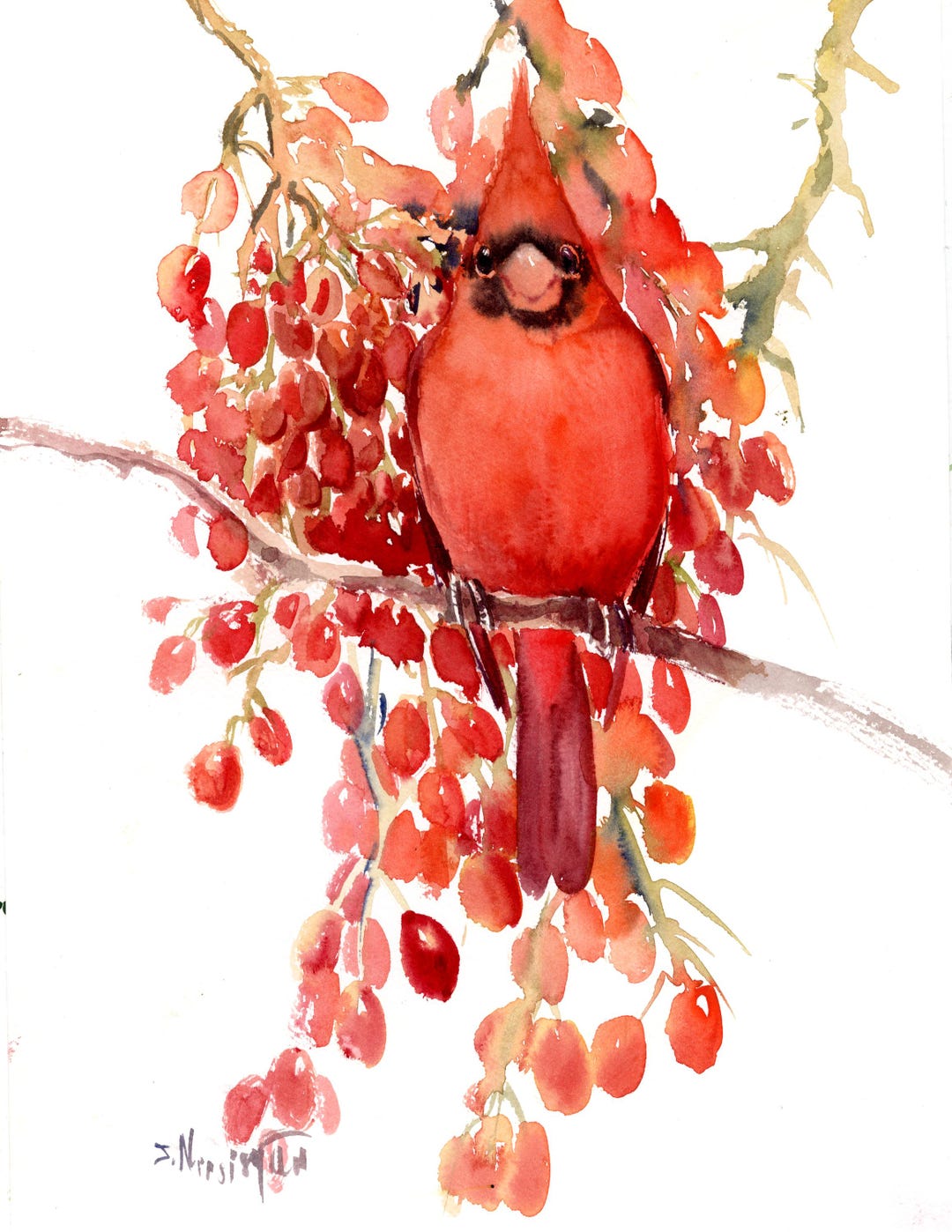 Cardinal Bird With Berries Artwork an Original Watercolor Painting by ...