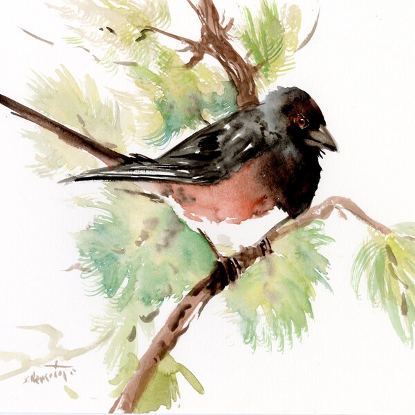 Towhee - Etsy