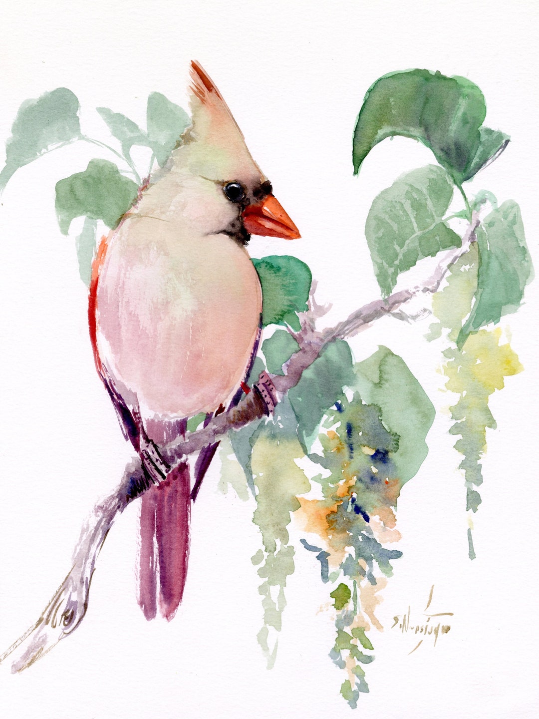 Cardinal Bird Watercolor Artwork, Original Painting, Female Cardinal ...