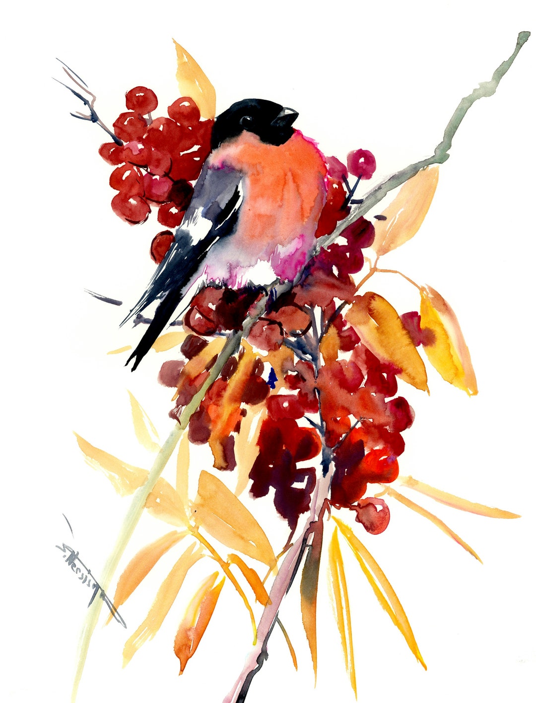 Watercolor Bird Art, Original Painting, Bullfinch and Fall Berries - Etsy