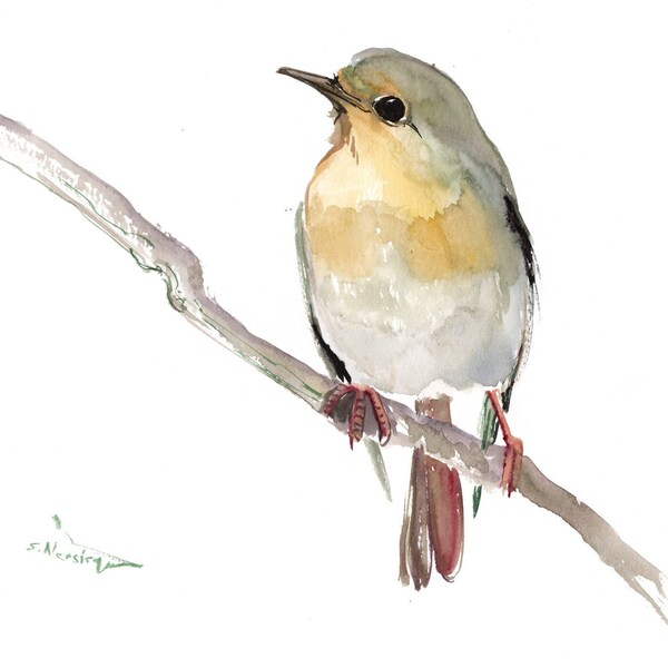 Robin Painting - Etsy