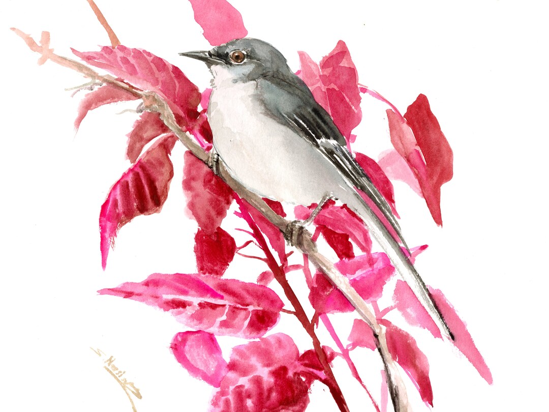 Mockingbird in the Fall, Original Watercolor Artwork Birds and Flower ...
