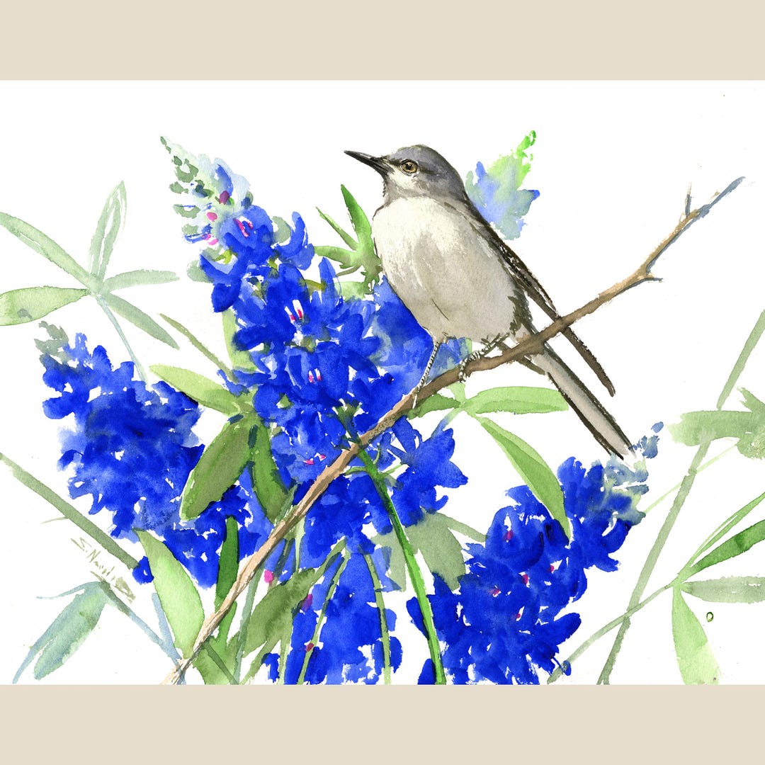 Mockingbird and Bluebonnet Flowers Artwork, an Original Watercolor ...