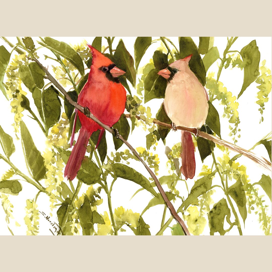 Original Cardinal Bird Painting, Watercolor by Artist Suren - Etsy