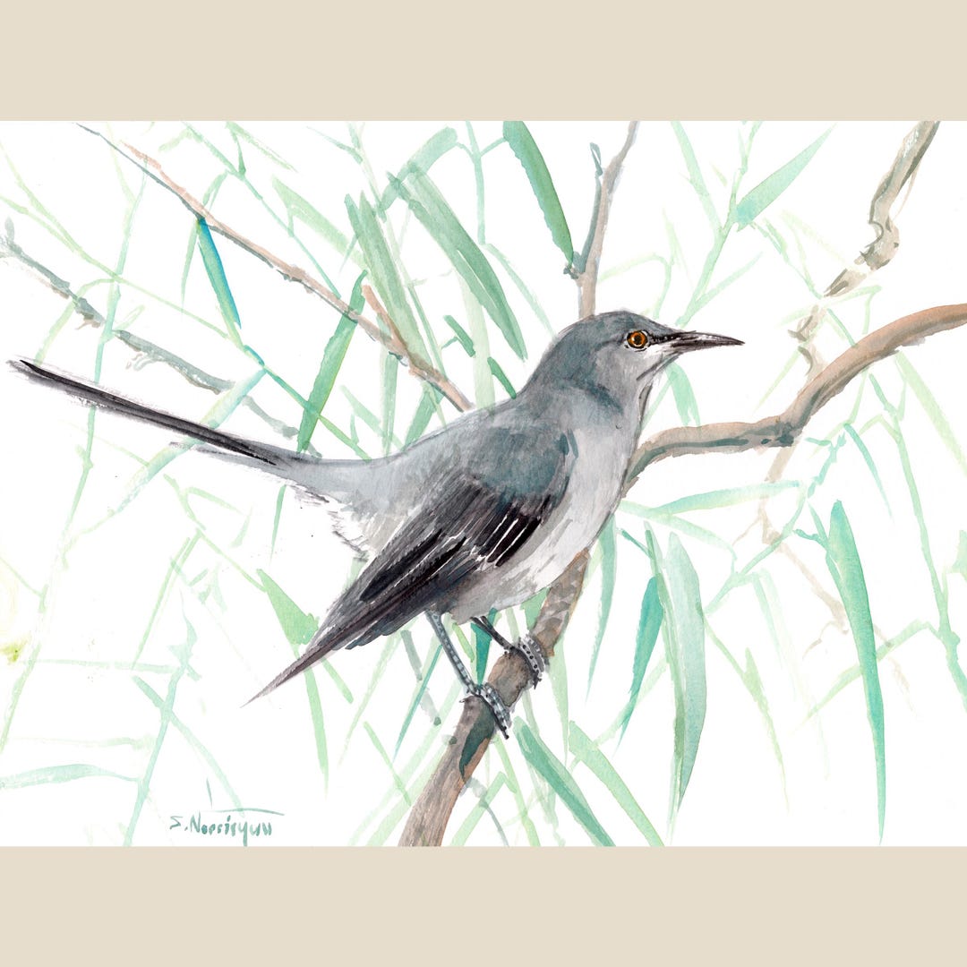 Mockingbird Artwork, an Original Watercolor Painting by Artist Suren - Etsy