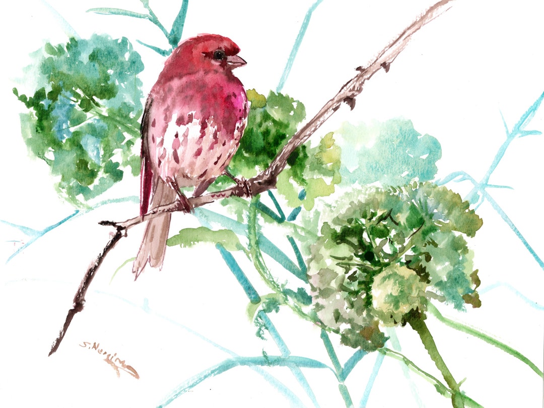 House Finch Artwork, Original, Hand-painted Watercolor Painting, Birds ...