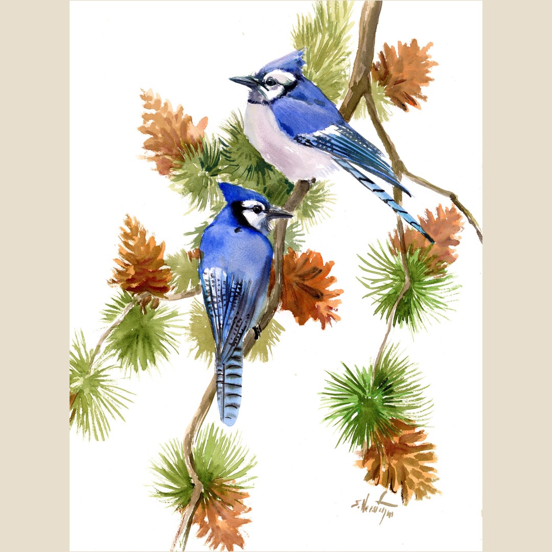 Blue Jay Artwork, an Original Watercolor Painting by Artist Suren - Etsy