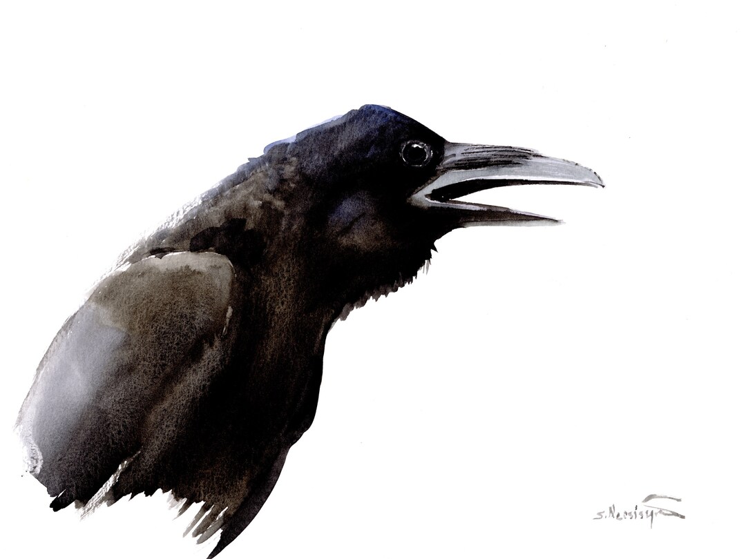Raven Bird Portrait, Original Watercolor Artwork Crow and Raven Black ...