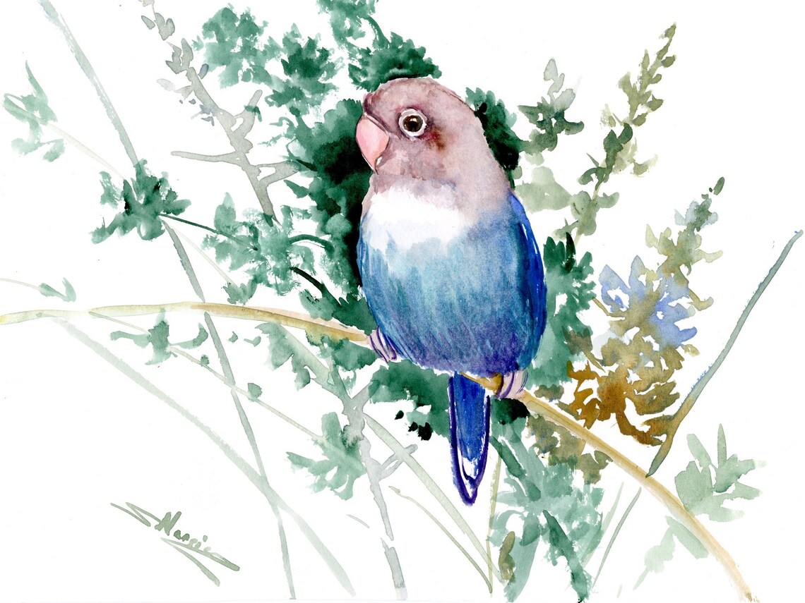 Lovebird Parrot Artwork, Original Watercolor Painting - Etsy