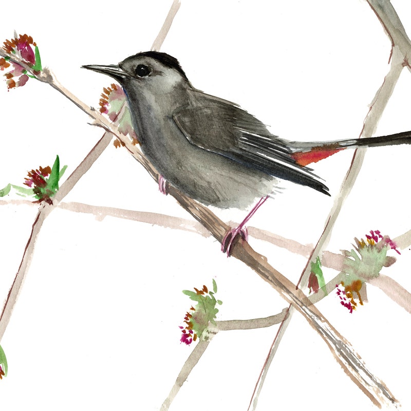 Catbird Painting - Etsy