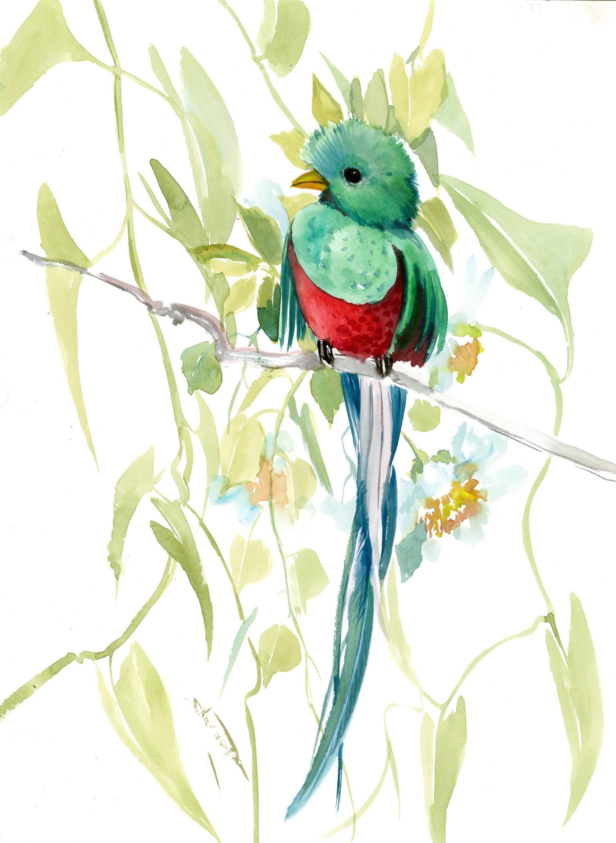 Quetzal Painting