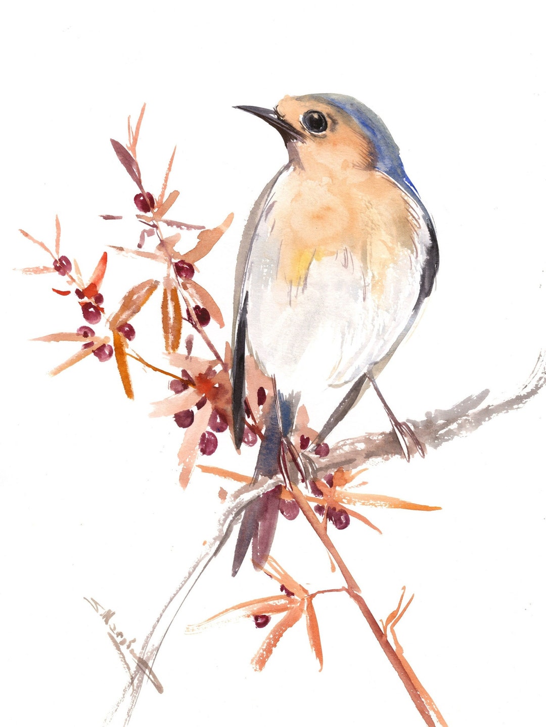Robin on the Tree Artwork, Hand-painted Original Watercolor Painting ...