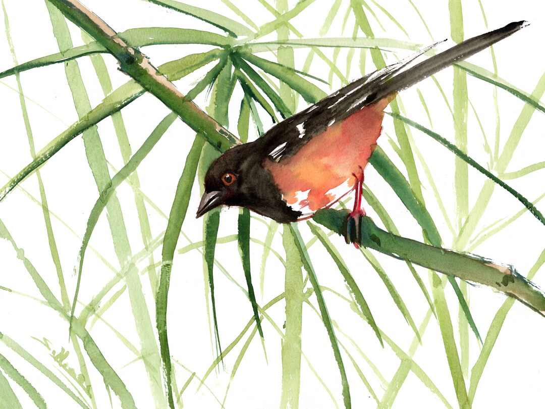 Eastern Towhee Bird Watercolor Artwork, Original Painting - Etsy