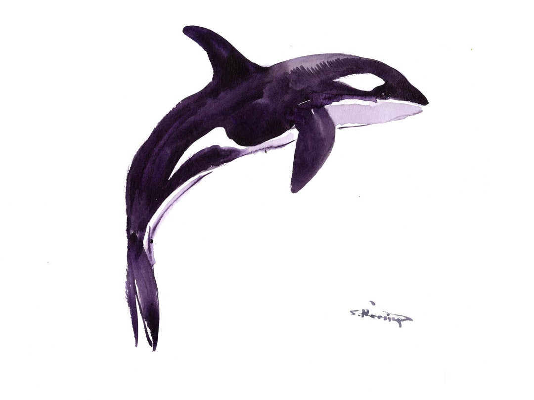Orca Killer Whale Illustration Original Watercolor Wall Art - Etsy