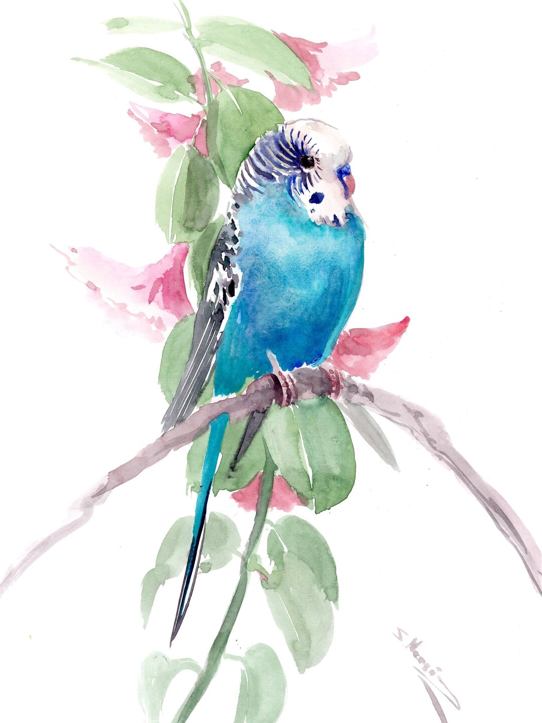 Turquoise Blue Budgie, Parrot Artwork , Original Watercolor Painting - Etsy