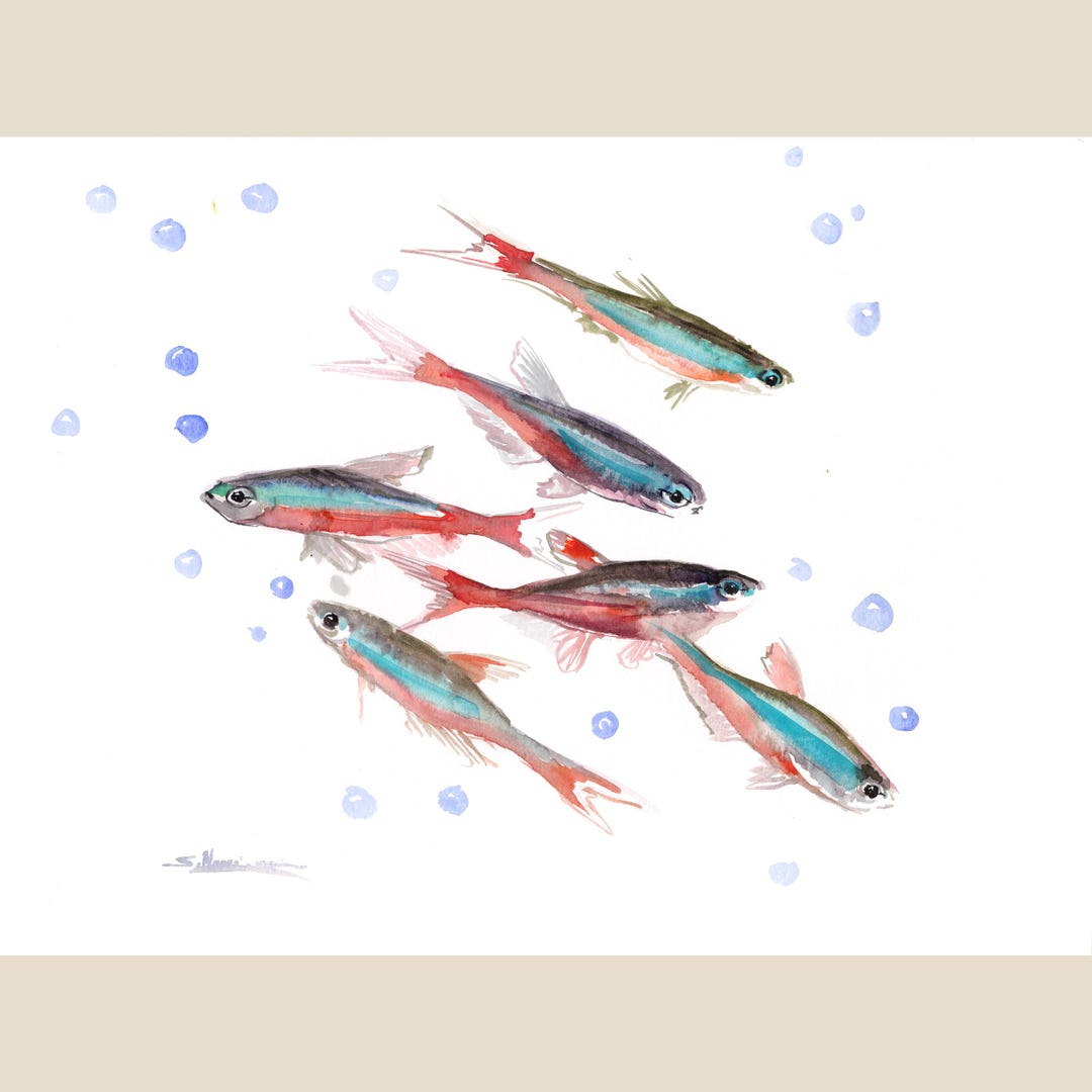 Neon Tetra Aquarium Fish Artwork, an Original Watercolor Painting by ...