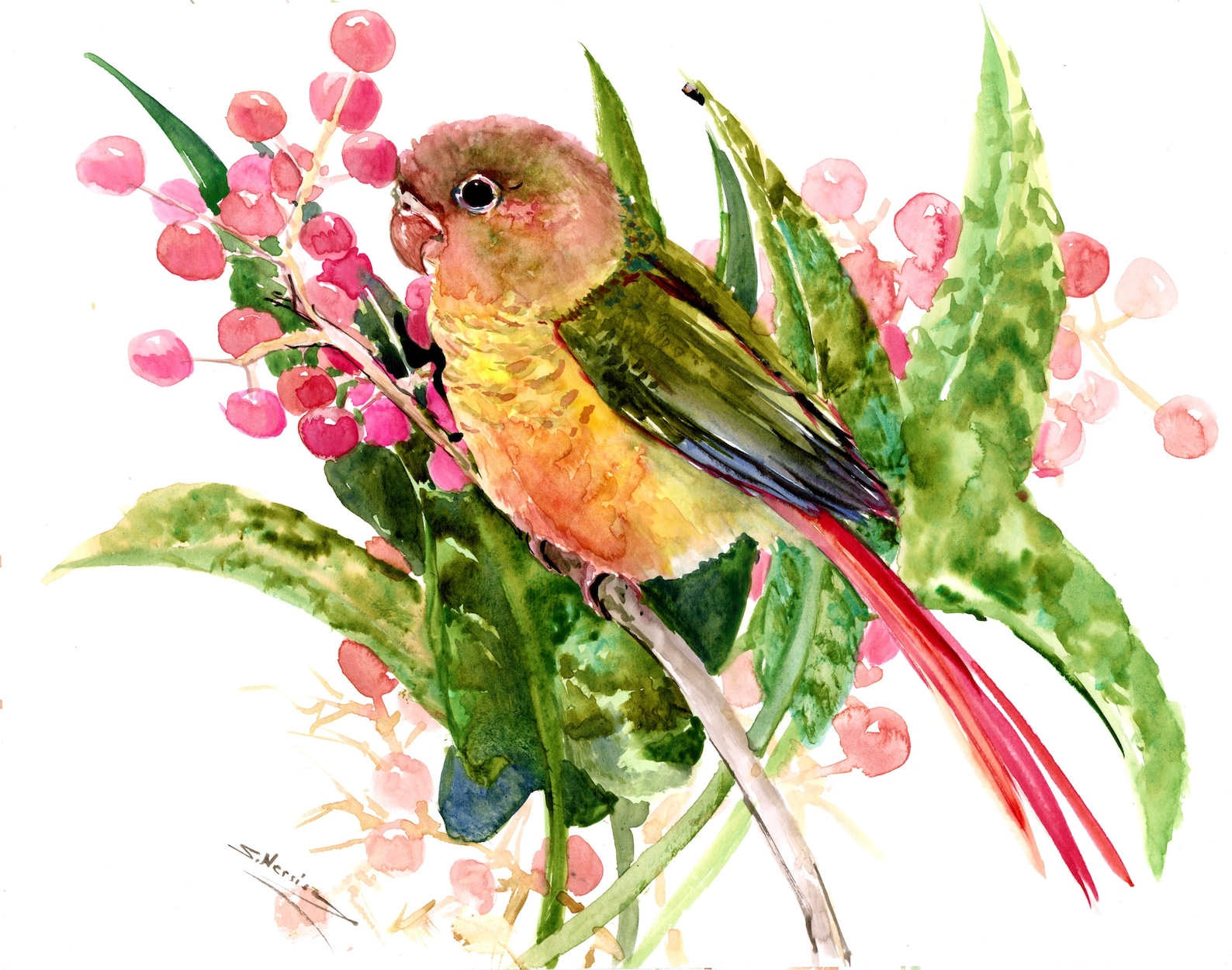 Pineapple Conure Artwork, Original Watercolor Painting - Etsy