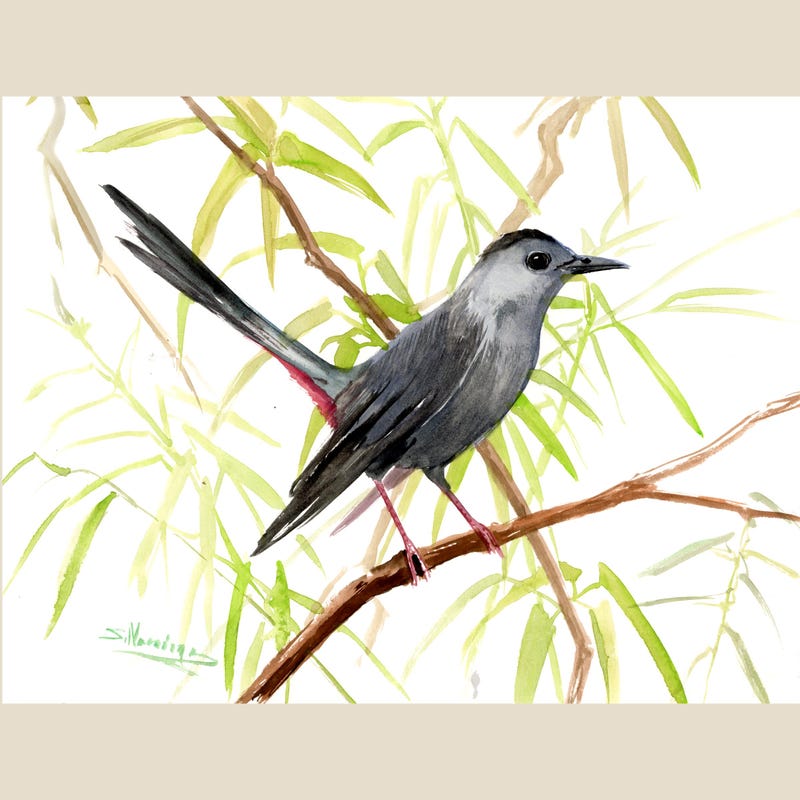 Catbird Painting - Etsy