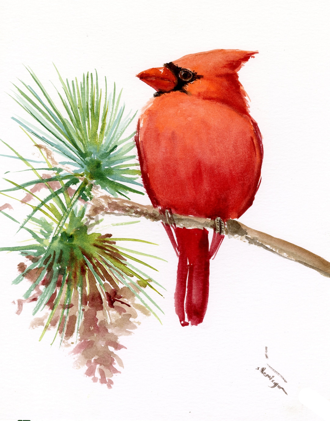 Red Cardinal Bird Watercolor Painting, Original Artwork, Northern ...