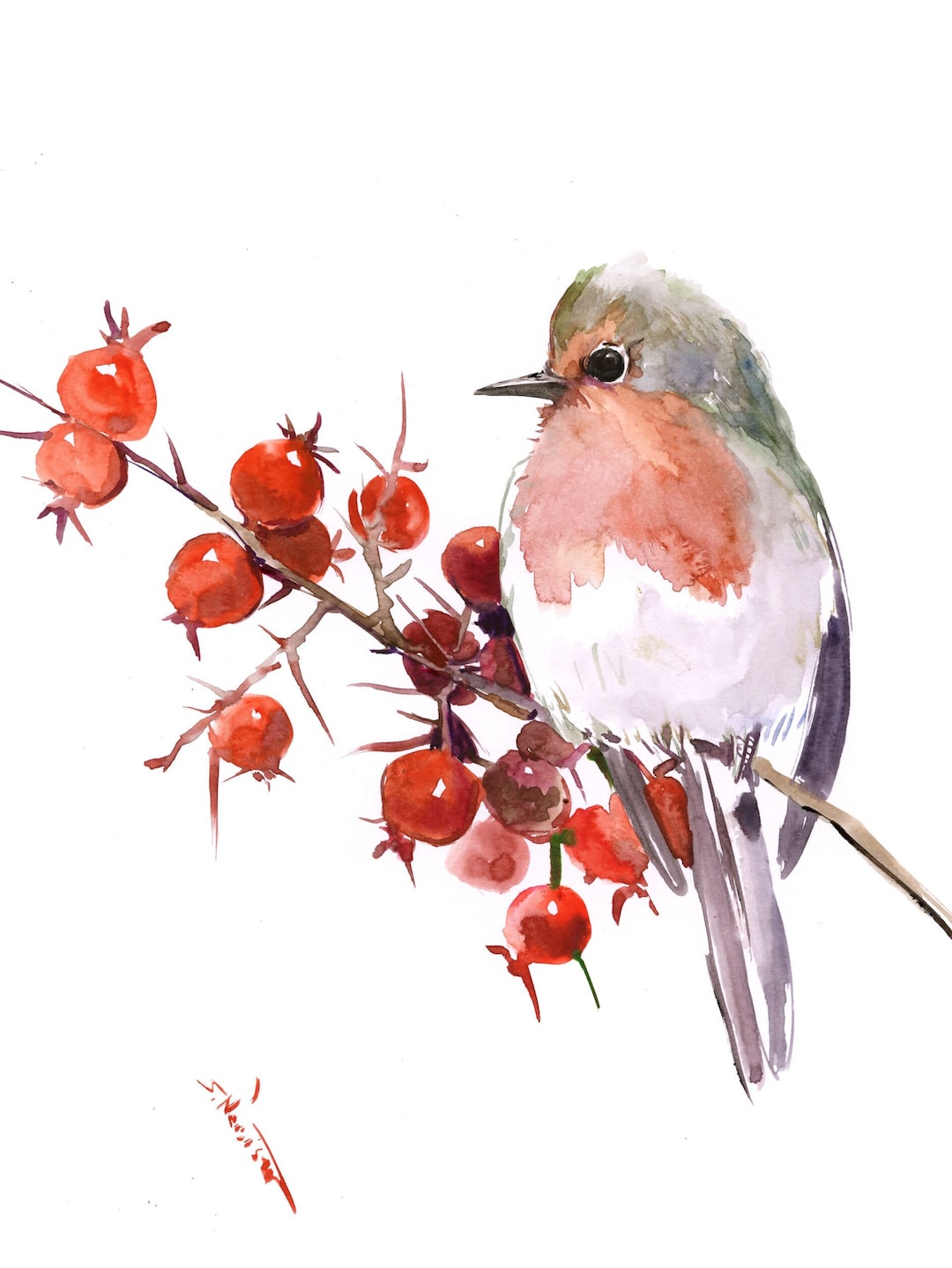 Watercolor Robin Bird Artwork- Original Painting - Etsy