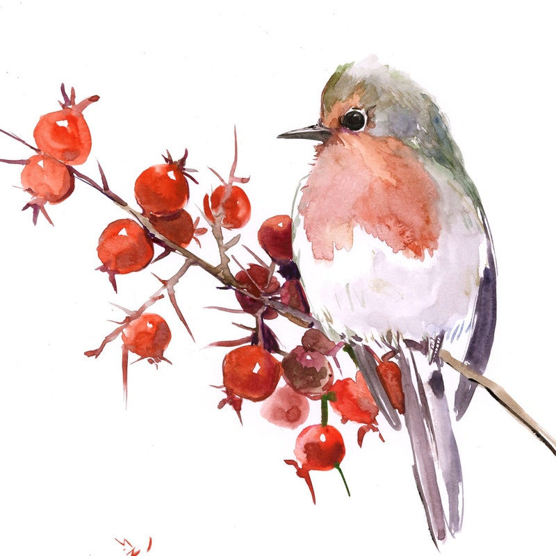 Robin Watercolor - Etsy