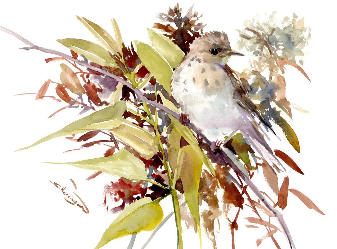 Birds and Flowers Art, Original Watercolor Painting, Water Pipit in the ...