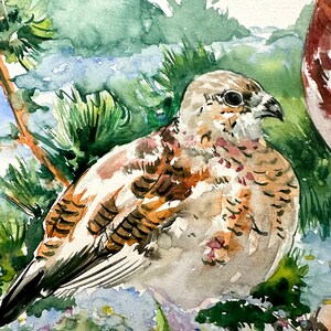 Alaska State Bird and Flower Artwork, Original Watercolor Painting ...