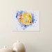 Yellow Discus Fish Artwork, Original Watercolor Painting - Etsy