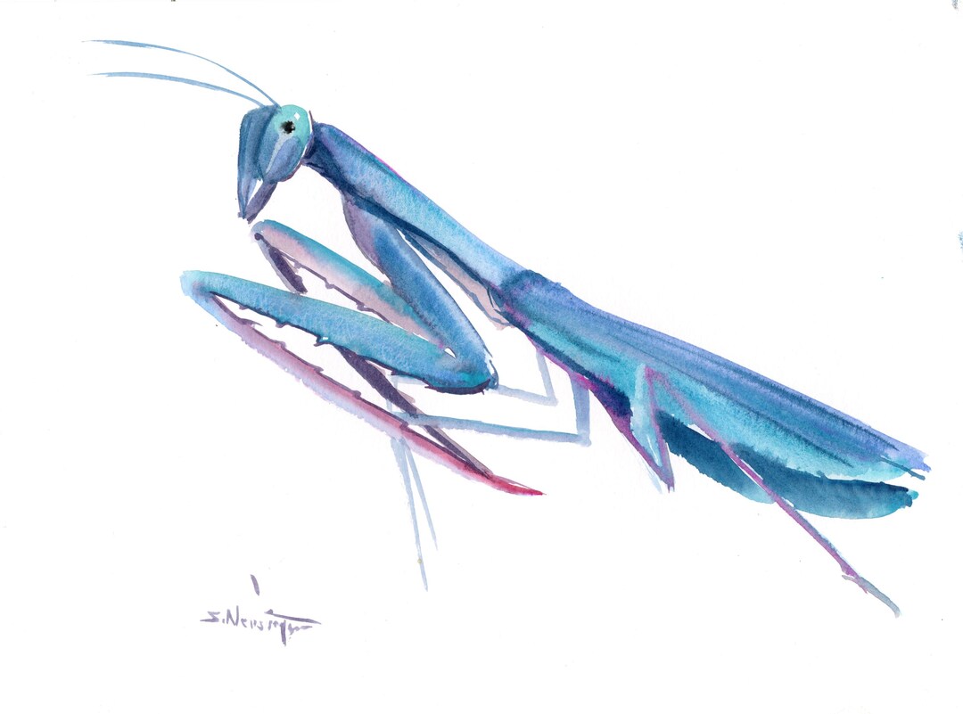 Praying Mantis Watercolor Artwork, Original Painting - Etsy