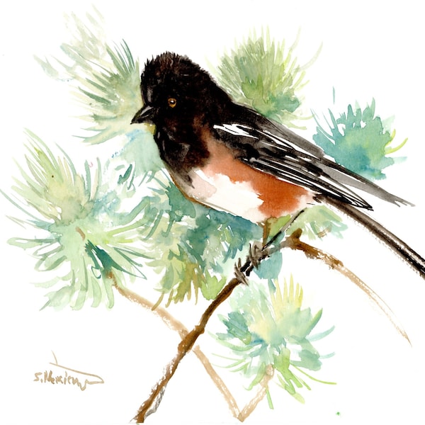 Towhee - Etsy