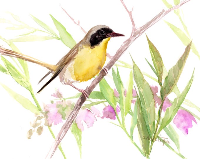 Common Yellowthroat Bird Artwork, an Original Watercolor Painting by ...