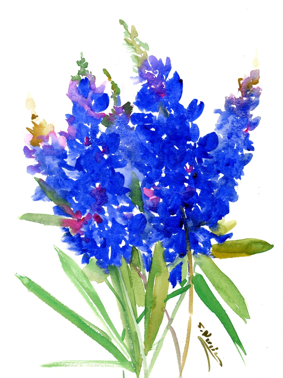 Bluebonnet Flowers Watercolor Painting, Original Artwork, Flowers of ...
