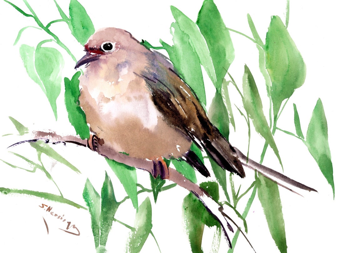 Mourning Dove Art Original Watercolor Painting Dove Bird - Etsy