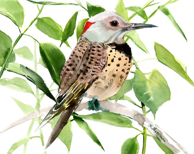 Northern Flicker Bird Original Watercolor Painting, Bird Artwork ...