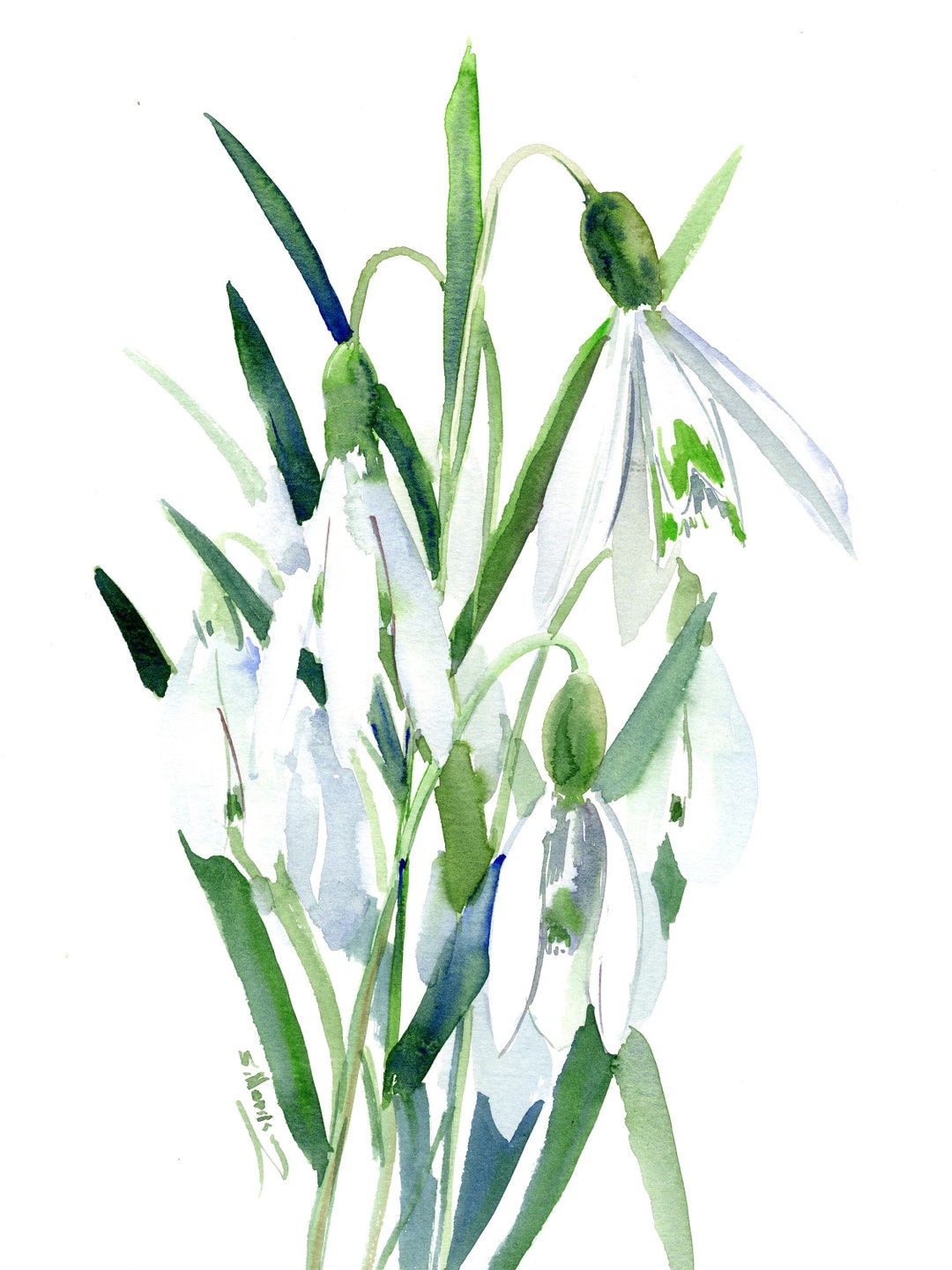 Snowdrop Flowers Watercolor Artwork, Original, Hand-painted ...
