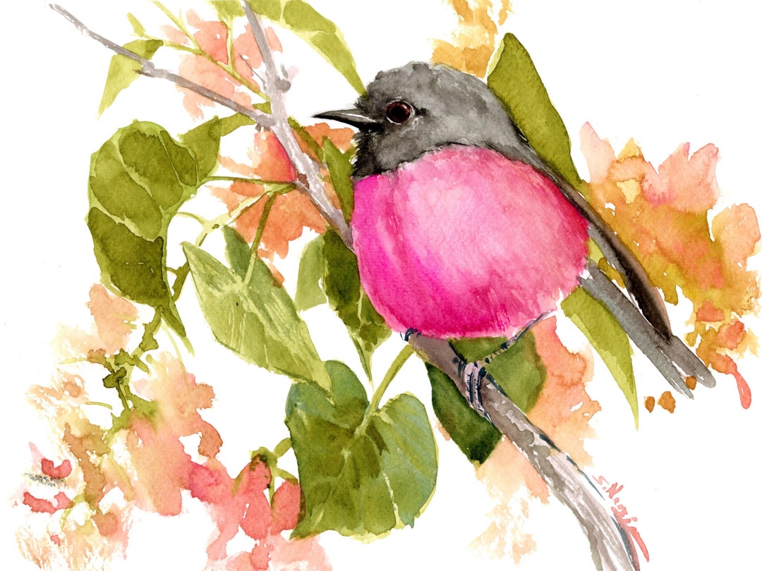 Rose Robin Watercolor Artwork, Original Hand-painted Bird Wall Art - Etsy
